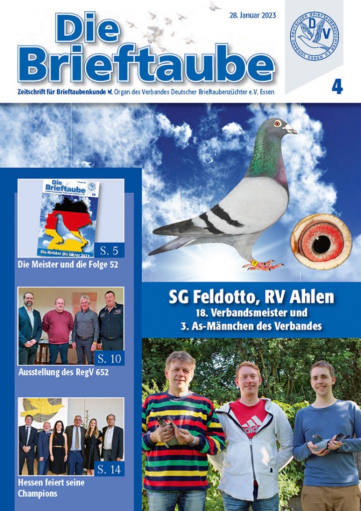 Brieftaube – Verband Deutscher Brieftaubenzüchter e.V.